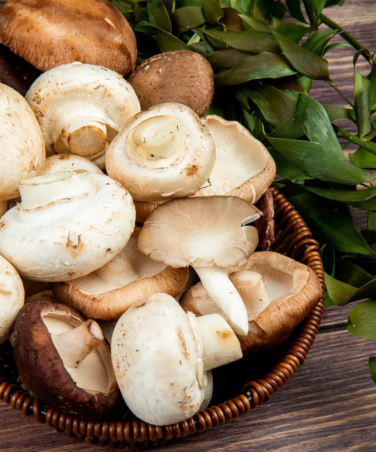 Shop Fresh Mushrooms Online | Mmmm! Singapore